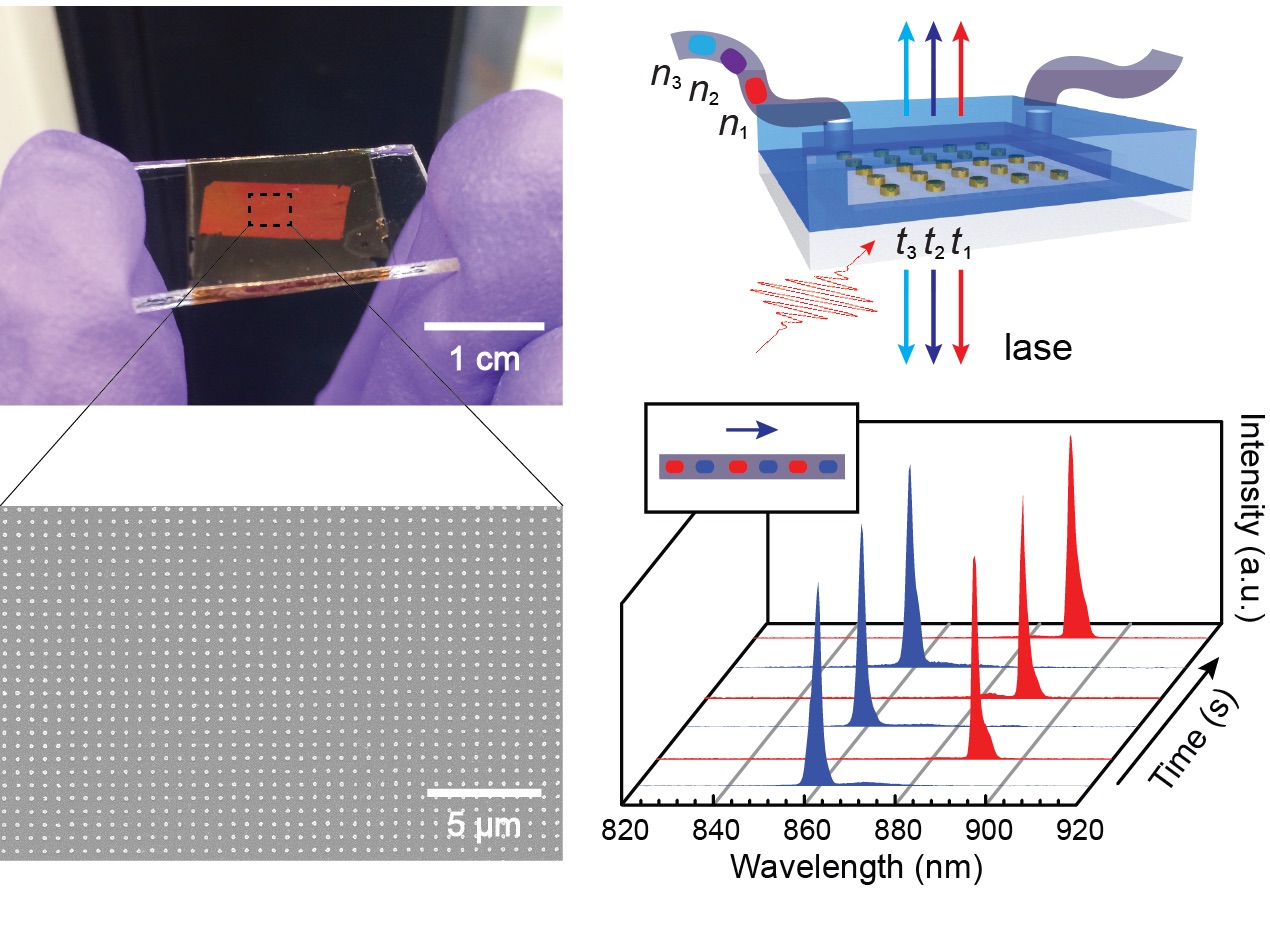 Nanophotonics and Nano-optics Publications - The Odom Group
