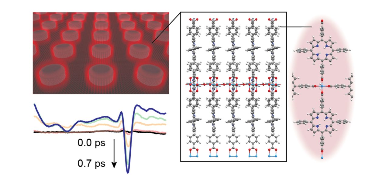 Publications - The Odom Group